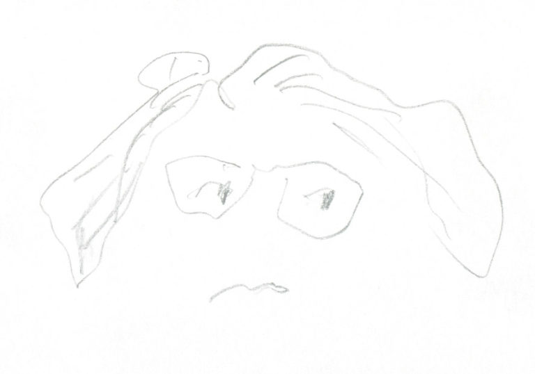 Lavis - Gérard Gray